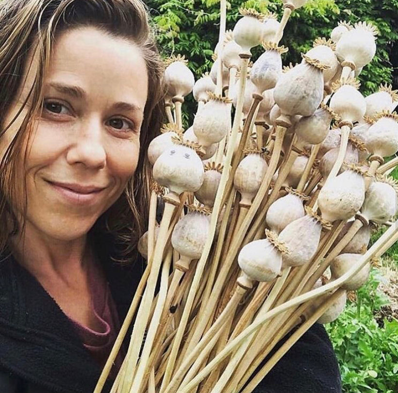 Poppy Growing Tips and Tricks – Starfish Honey