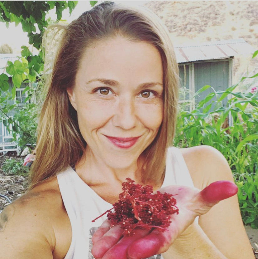 Little Poppy Mama’s Favorites – Starfish Honey